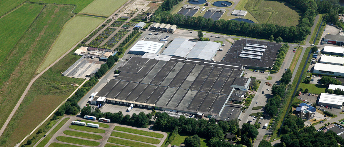 Eelde Classics | Flowerdome